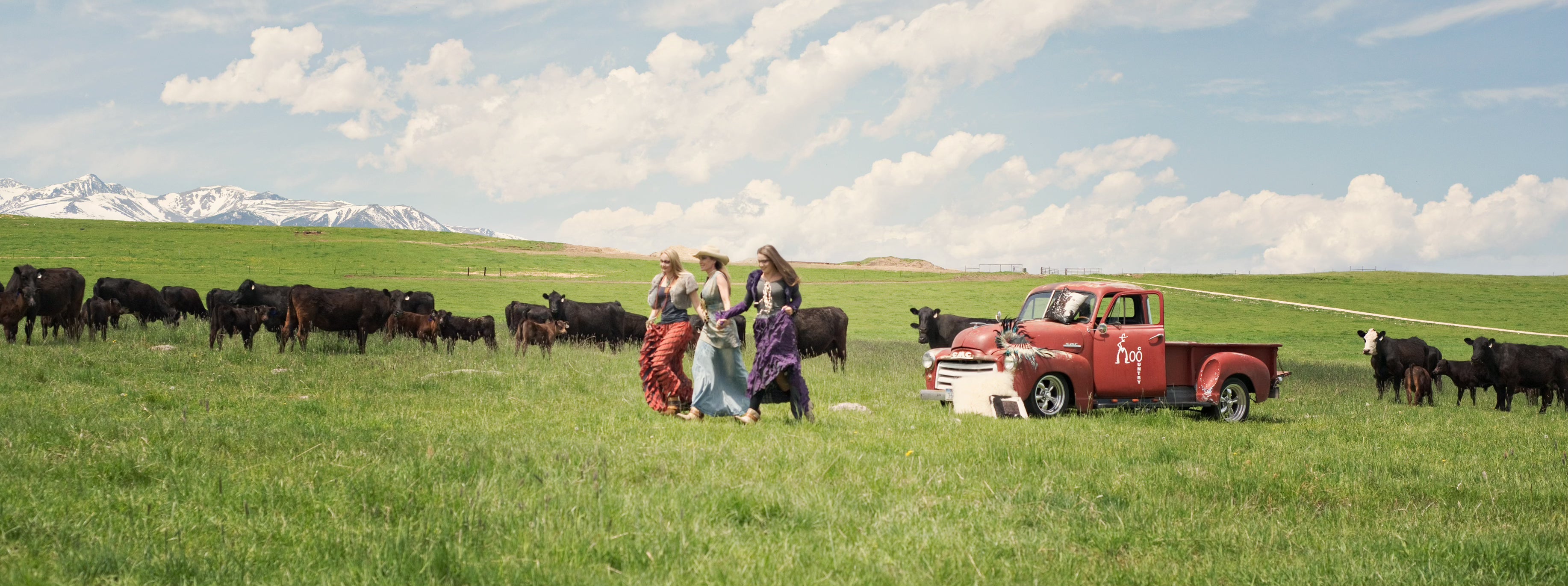 Moo Exclusives – Moo Country